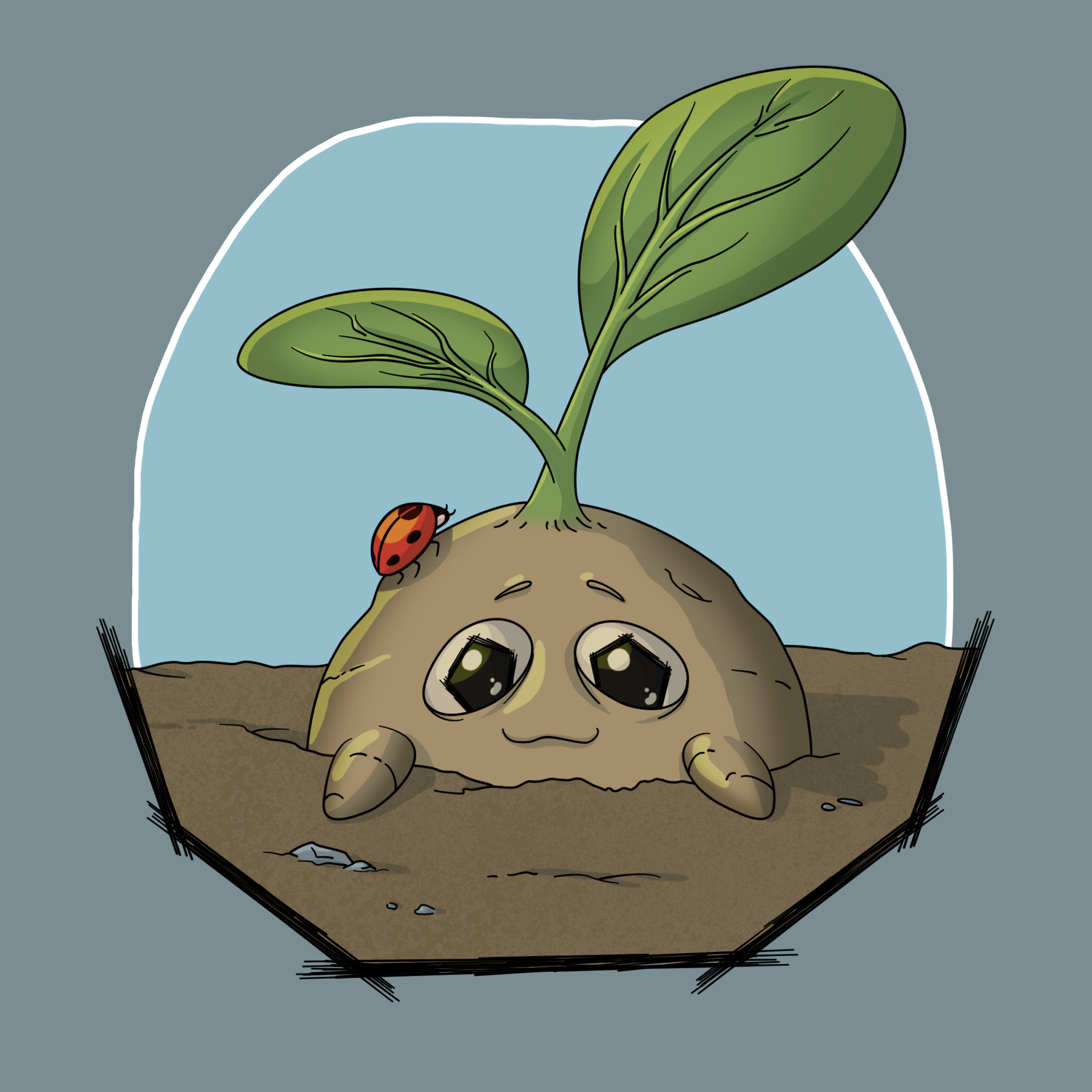 Products – Spud Publishing Inc.